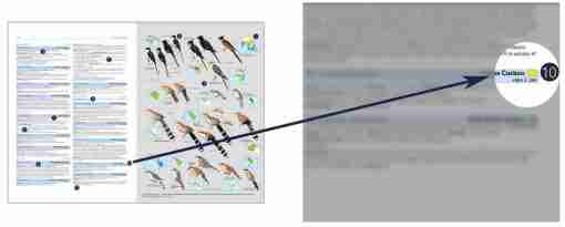 HBW and BirdLife International Illustrated Checklist of the Birds of ...