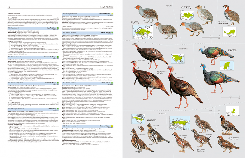 HBW and BirdLife International Illustrated Checklist of the Birds of ...