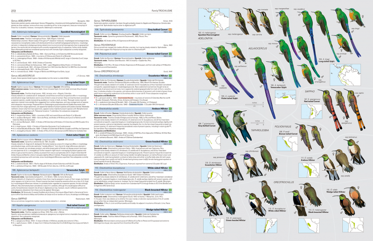 HBW and BirdLife International Illustrated Checklist of the Birds of ...