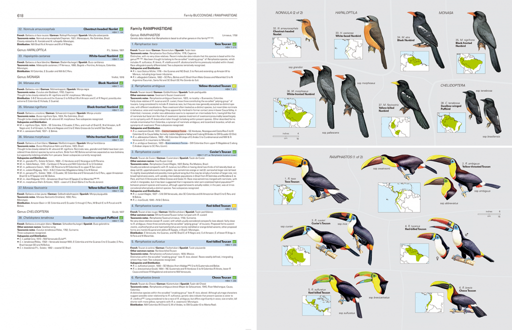 HBW and BirdLife International Illustrated Checklist of the Birds of ...