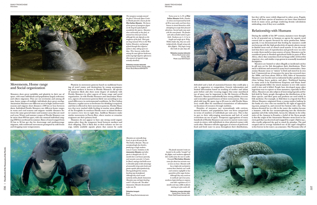 Handbook of the Mammals of the World - Volume 4 - Lynx Nature Books