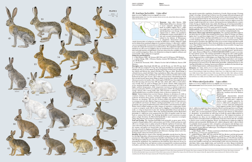 Handbook of the Mammals of the World - Volume 6 - Lynx Nature Books