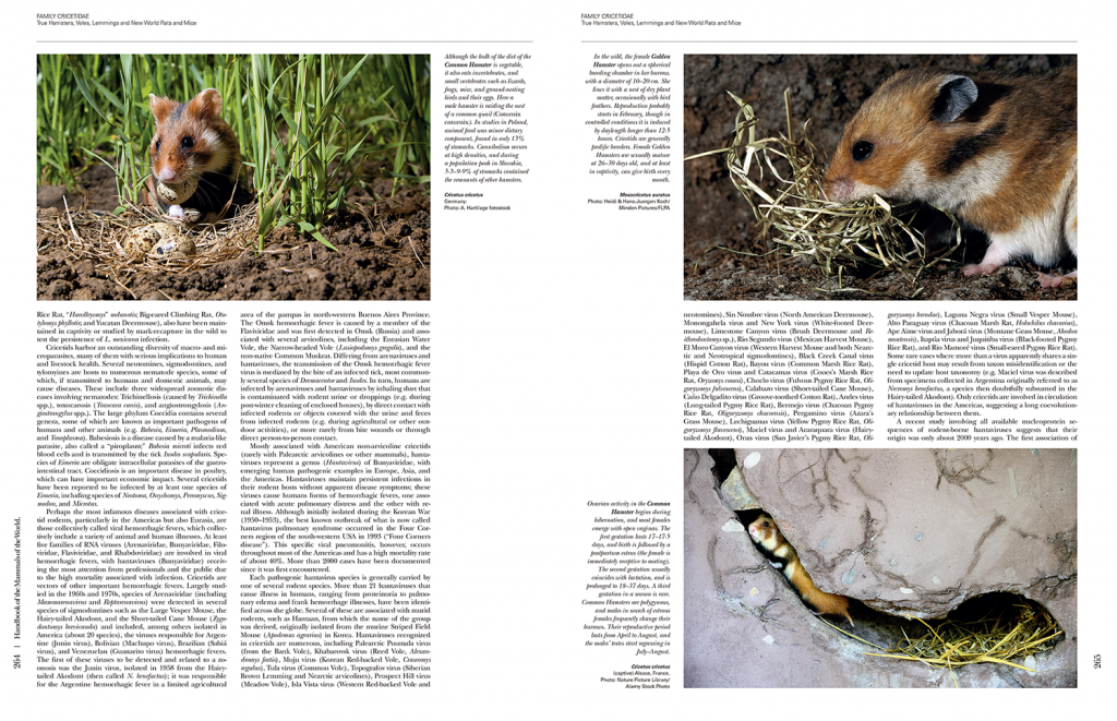 Handbook of the Mammals of the World - Volume 7 - Lynx Nature Books