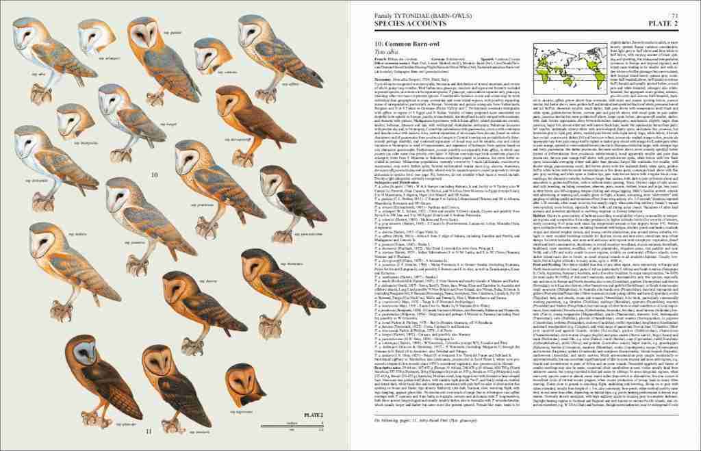 Handbook of the Birds of the World - Volume 5 - Lynx Nature Books
