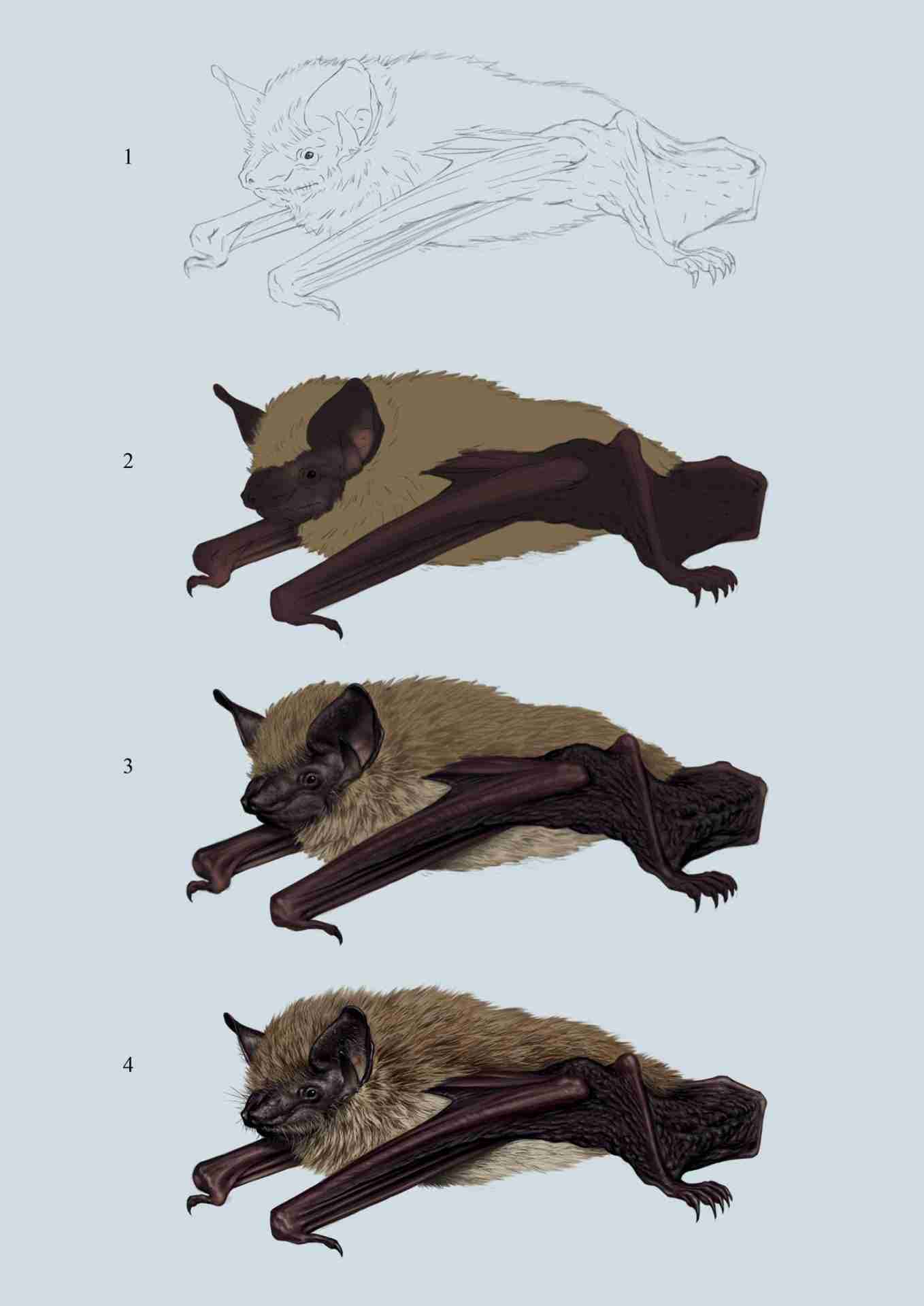 News from the Batcave with Ilian Velikov - Lynx Nature Books