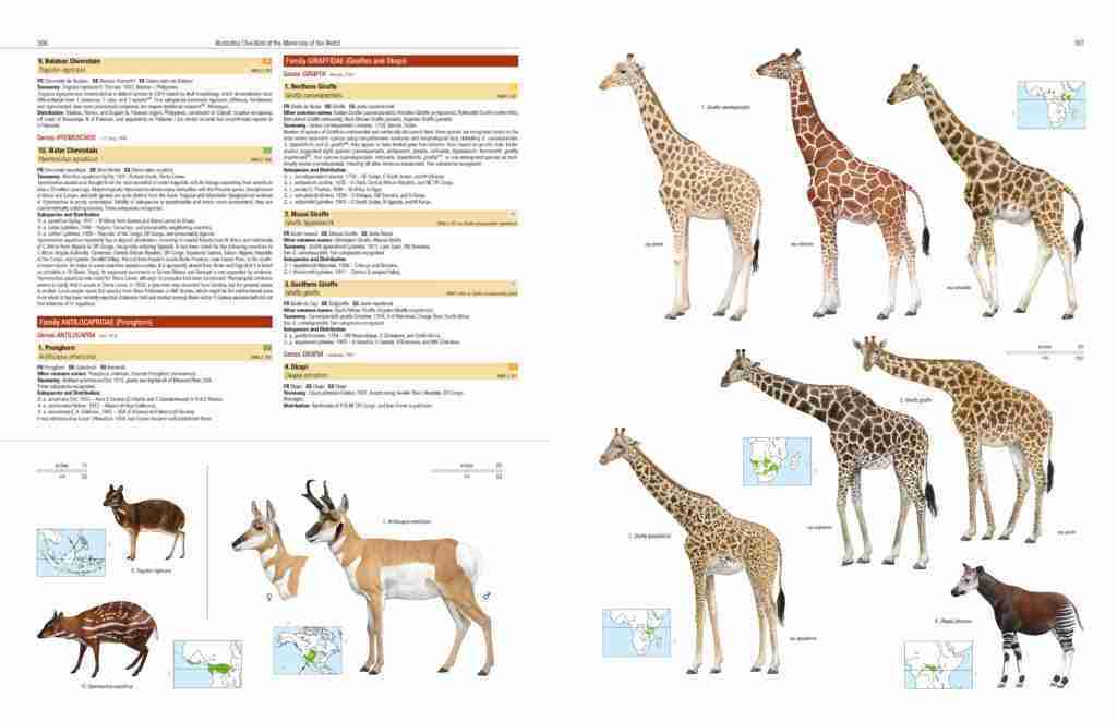 Illustrated Checklist of the Mammals of the World - Lynx Nature Books
