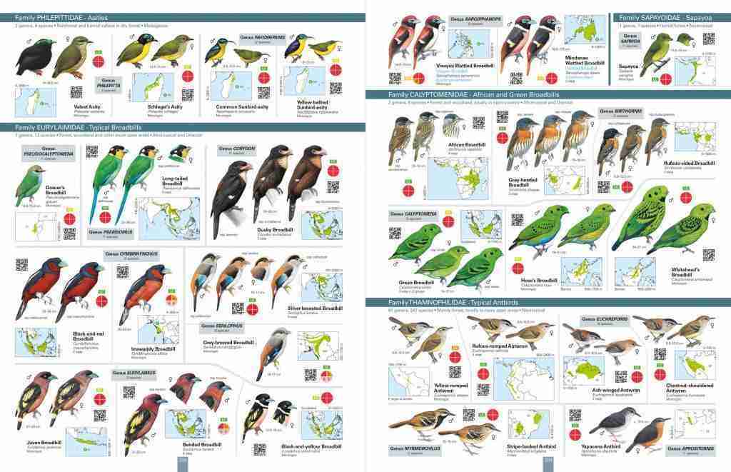 All the Birds of the World - Lynx Nature Books