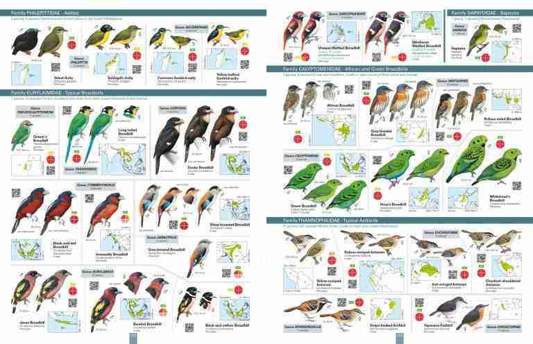All the Birds of the World - Lynx Nature Books