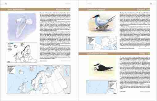 European Breeding Bird Atlas 2 - Lynx Nature Books