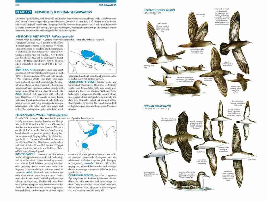 Seabirds - Lynx Nature Books
