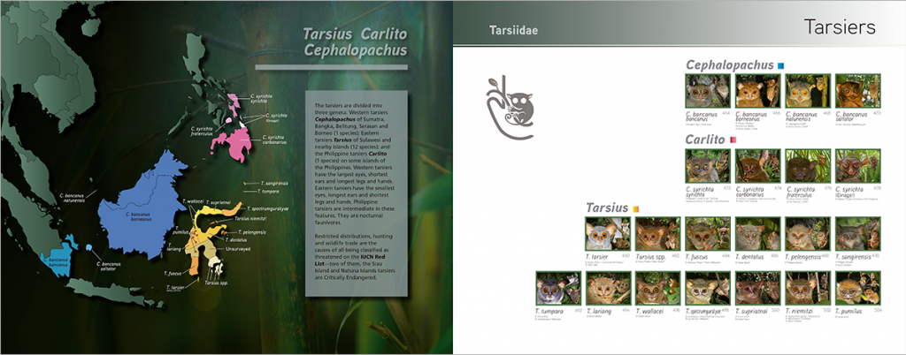 All Asian Primates - Lynx Nature Books