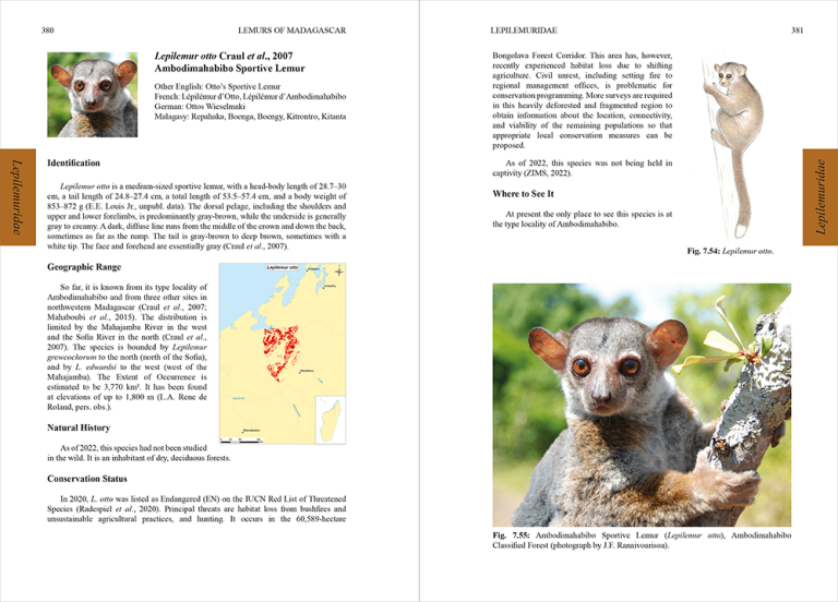 Lemurs of Madagascar - Lynx Nature Books