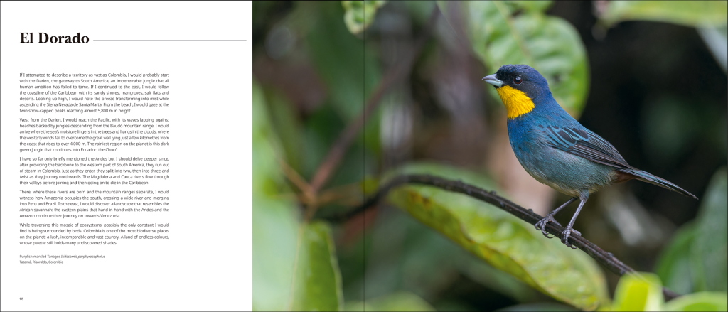 Portfolio 1 - Photographs and stories of extraordinary birds - Lynx ...