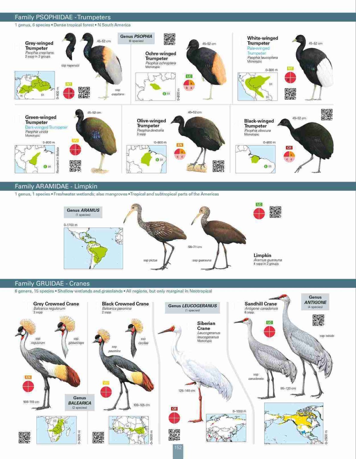 All the Birds of the World highlights - Lynx Nature Books