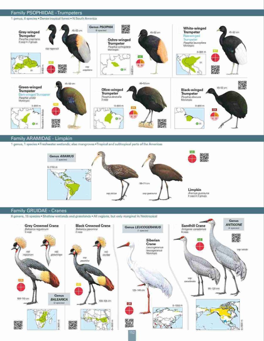 All the Birds of the World highlights - Lynx Nature Books