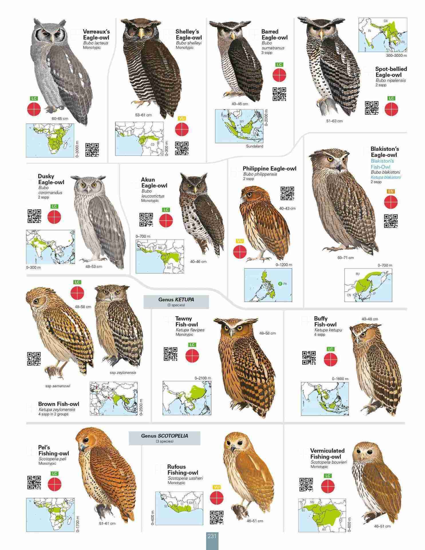 All the Birds of the World highlights - Lynx Nature Books