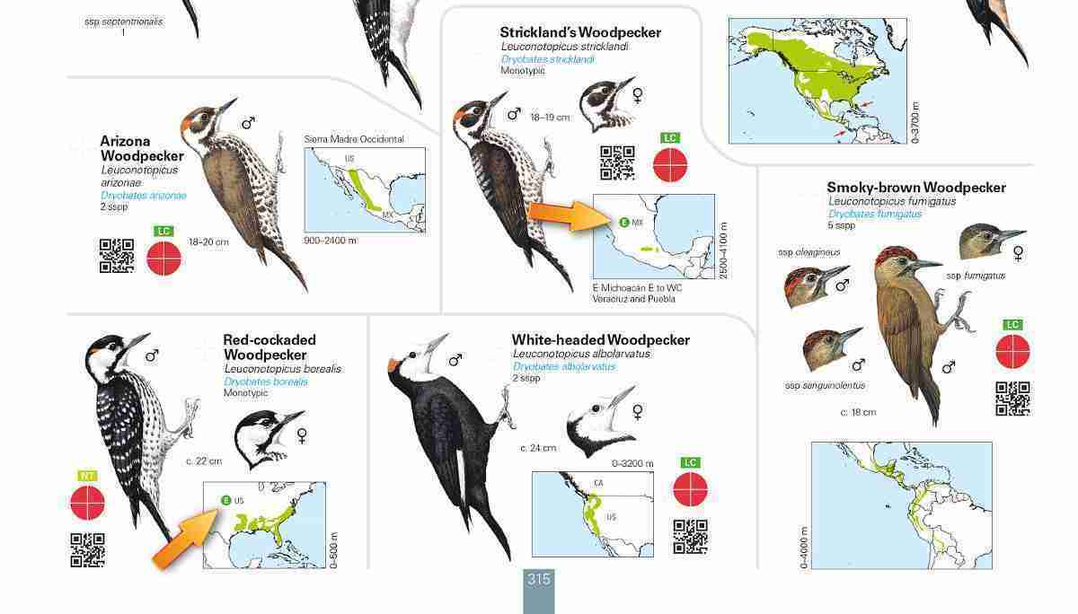 All the Birds of the World highlights - Lynx Nature Books