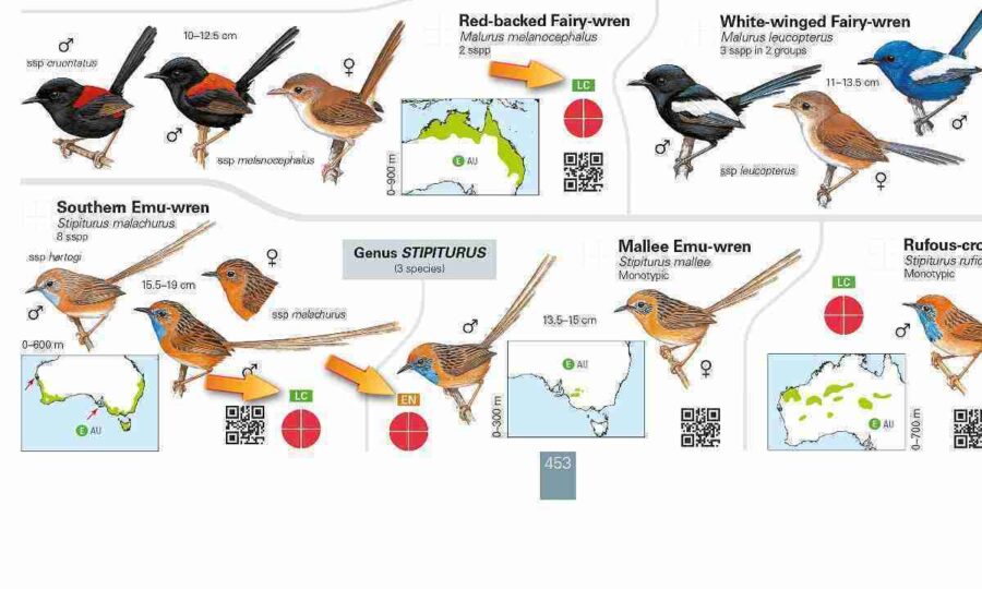 All the Birds of the World highlights - Lynx Nature Books