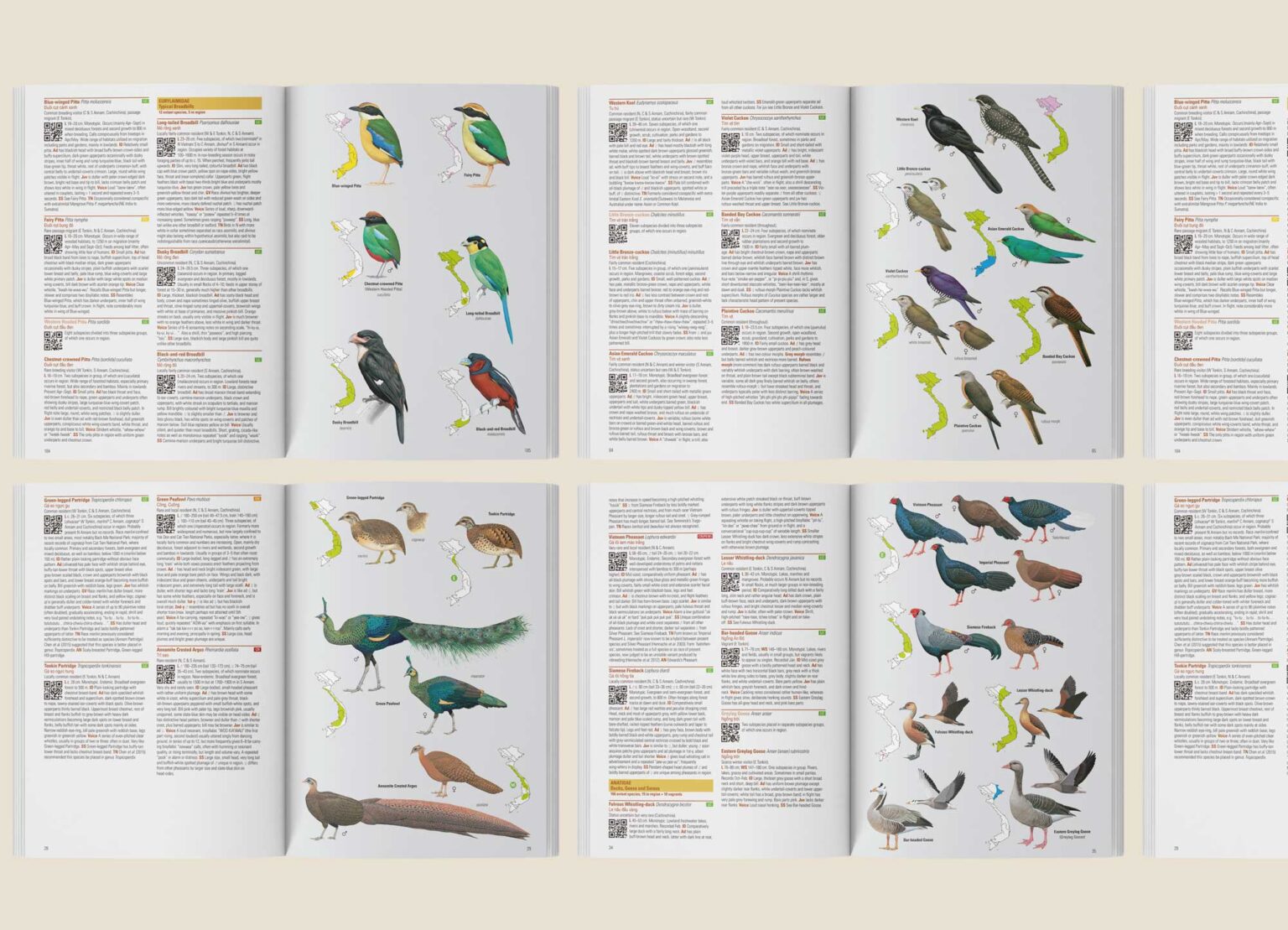 LYNX Nature Books - Lynx Nature Books