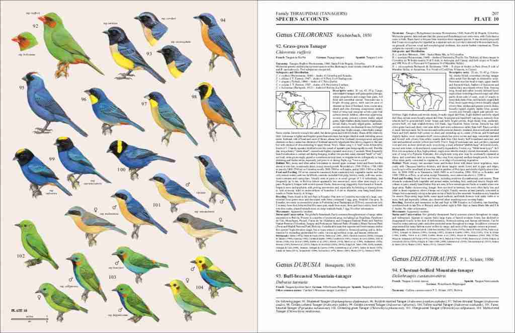 Handbook of the Birds of the World - Volume 16 - Lynx Nature Books